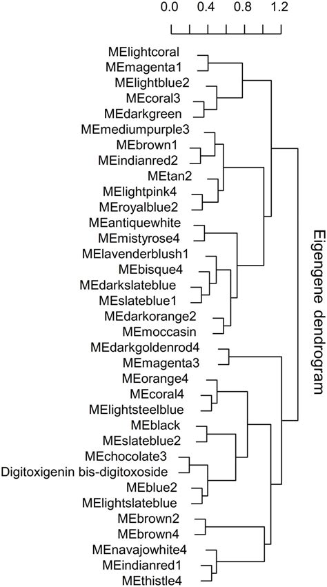 Eigengene Dendrogram Of The Modules And Digitoxigenin Bis Digitoxoside Download Scientific