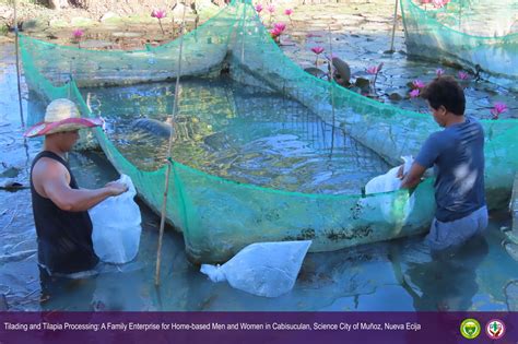 The Central Luzon Clsu Gender And Development Office