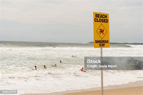 해변에서 해변 폐쇄 표지판 경고에도 불구하고 사람들은 여전히 수영과 서핑을하고 있습니다 감시에 대한 스톡 사진 및 기타 이미지 감시 개념 경계 표지 Istock