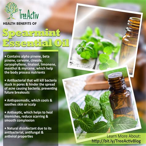 Spearmint Essential Oil Spearmint Essential Oil Essential Oils Health Benefits Essential