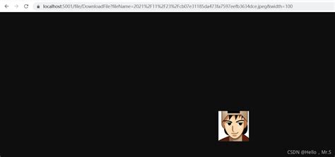 minio：缩略图（netcore） minio 缩略图 csdn博客
