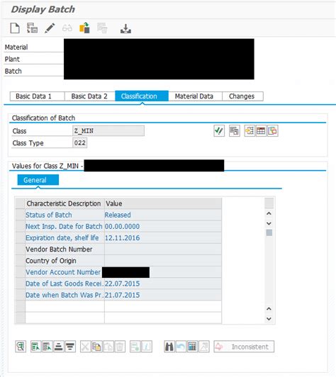 Batches Lost Classification Data Sap Community