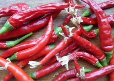 Перец "Бараний рог": характеристика и выращивание сорта, отзывы, фото ...