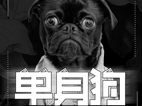 字体设计 —单身狗桃李酱 站酷zcool