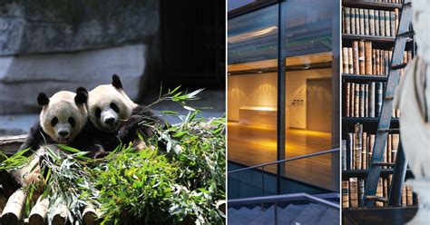 List Pandas 101 Curated By Ridho Aryo Pratama Medium