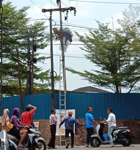 Pekerja Kesetrum Tegangan Tinggi Tiang Listrik Di Tanjungpinang