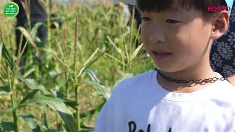 🌱도시에 농업이 도심 속 힐링라이프 대구도시농업박람회 다시보기 Youtube