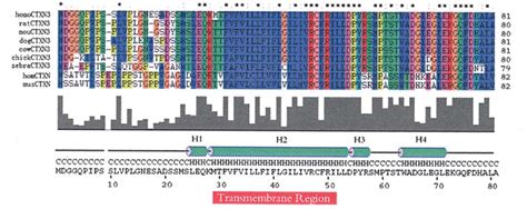 Multiple Sequence Alignment Of Human Rat Mouse Dog Cow Chicken And