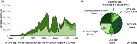 Green Macroalgae Aquaculture And Its Underexploited Potential