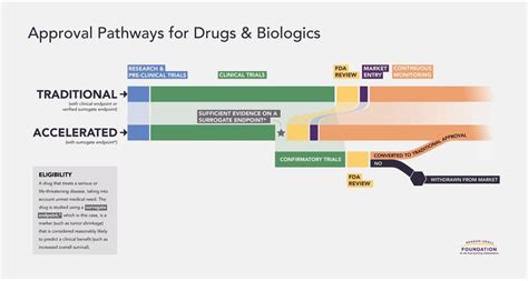 What Is Accelerated Drug Approval Program What Is It For What Is Its
