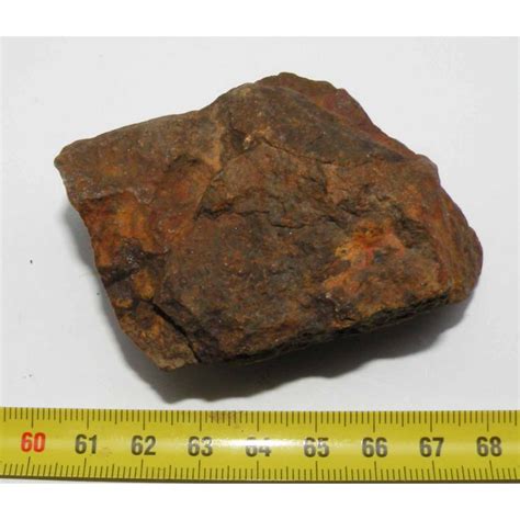 Météorite Chondrite Nwa Non Classée 202 Grs 171