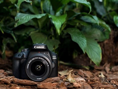 Review Canon Eos 4000d Dòng Máy Dslr Giá Rẻ Này Có Gì đặc Biệt