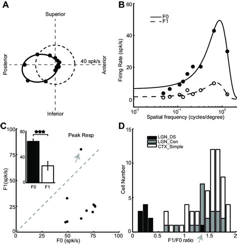 spatial tuning properties and linearity of lgn ds cells and layer 4
