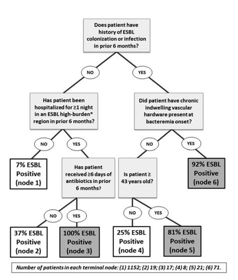 Predicción De Esbl En Hemocultivos Vpn 91 Vpp 91 Infection