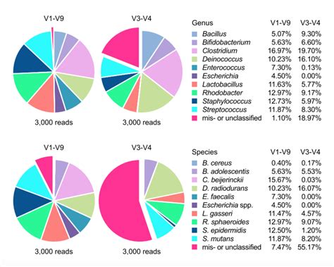 Nanopore 16s极速周期 全长扩增子测序极速时代的到来！ 武汉贝纳科技服务有限公司