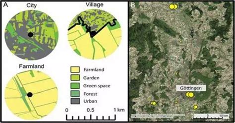 Urbanization Increases Seasonal Variations In Plant Pollinator Networks
