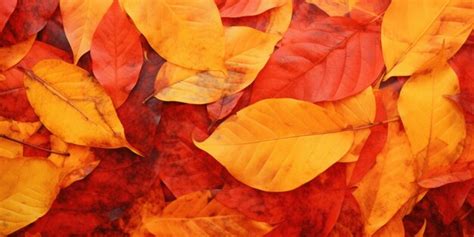 Detailed View Of A Cluster Of Leaves Suitable For Nature Backgrounds