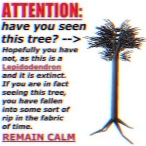 Lepidodendron Tree Youtube