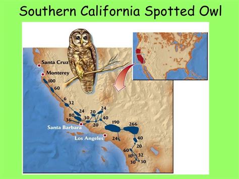 Ppt Spatial Structure And Metapopulations Powerpoint Presentation Id4296603