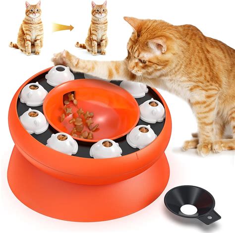 Slanted Feeding Dish For Kittens Interactive Cat Slow Feeder Elevated
