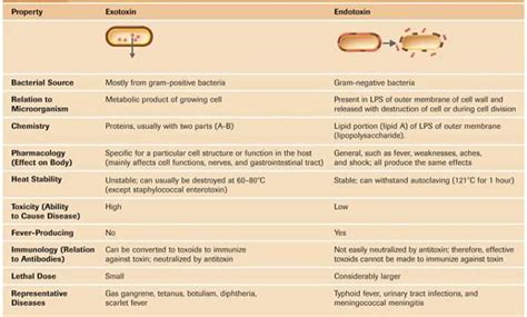 Differen Prime Asia University Department Of Microbiology