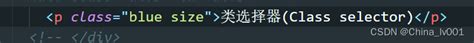 css的12种选择器 css 2 5 8 11 csdn博客