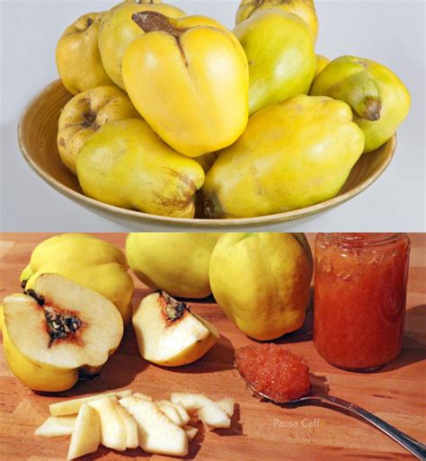 Membrillo La Fruta Olvidada Que Elimina Las Arrugas Baja El
