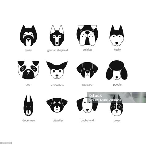 벡터 평면 개 아이콘 세트입니다 테리어 래브라도 허스키 불독 애 마 푸 들도 베 르만 목 치와와 복 서 닥 스 훈 트 Pug 블랙 절연 다 원 기록 법 웹 디자인 아이콘