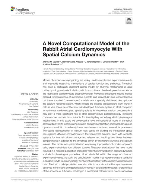 PDF A Novel Computational Model Of The Rabbit Atrial Cardiomyocyte