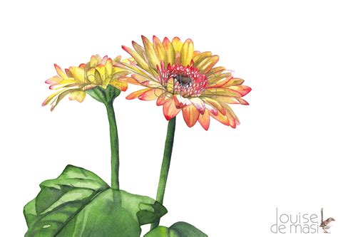 Birds And Bees Print — Louise De Masi Watercolour Artist
