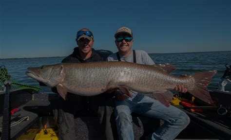 Green Bay Trophy Musky Fishing Guide Doug Wegner Fishing Fishing