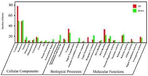 Cellular Components Biological Processes And Molecular Functions