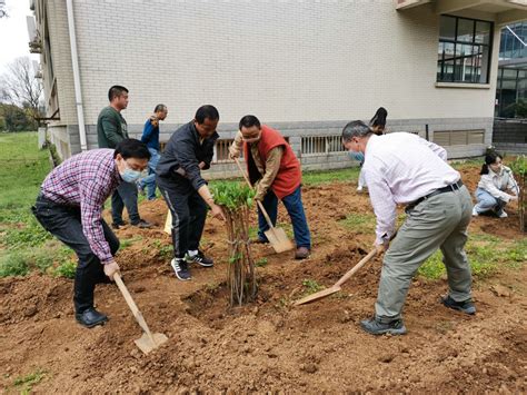 捐赠树苗献爱心 师生共栽结香林 外国语学院