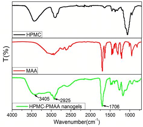 Ftir Spectra Of Hpmc Maa And Hpmc Pmaa Nanogels Download Scientific