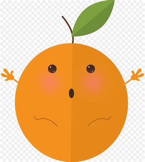 橙色扁平呆萌桔子png图片素材下载图片编号8403185 Png素材网