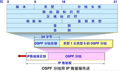 路由选择协议 Rip、ospf、bgp 详解bgp Ospf Rid Csdn博客