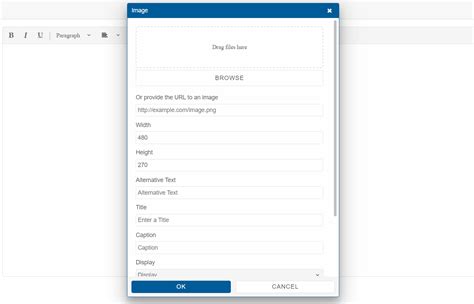 Blazor Blazor Editor With Images Https Htmlelements Com