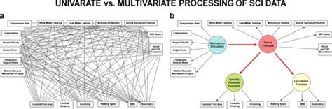 Correlation Distillation As A Syndromic Framework The Goal Of