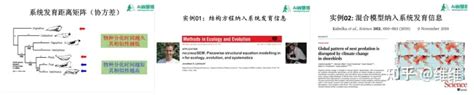 分析多变量间因果关系的利器 结构方程模型（structural Equation Modeling）结构方程模型筛选变量 Csdn博客