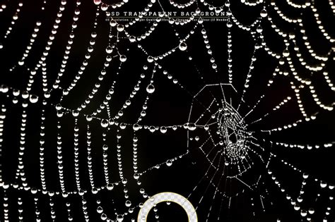 Premium Psd Vector Abstract Big Data Visualization Grayscale Glowing Data Flow As Binary