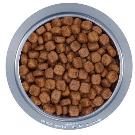 قیمت و خرید غذا خشک سگ رویال کنین مدل پودل ادالت وزن 3 کیلوگرم