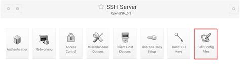 How To Directly Edit Ssh Config Files In Virtualmin Hostwinds