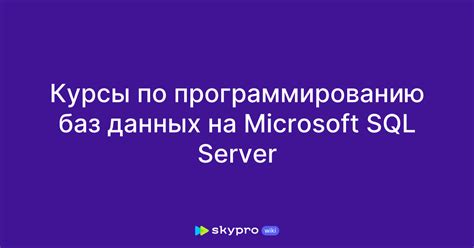 Курсы по программированию баз данных на Microsoft Sql Server