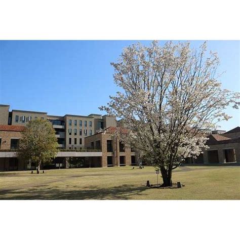 【関西外国語大学・関西外国語大学短期大学部 学長人事のお知らせ】 関西外国語大学