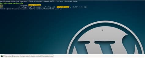 Install Ack On Ubuntu Stanko Metodiev