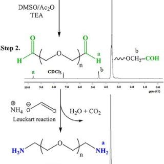 The Mechanism Of The Synthesis Of Polyetheramines By Nucleophilic Download Scientific Diagram