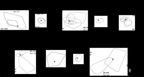 100 Minimum Convex Polygon Mcp Home Range Areas For S Psammophila
