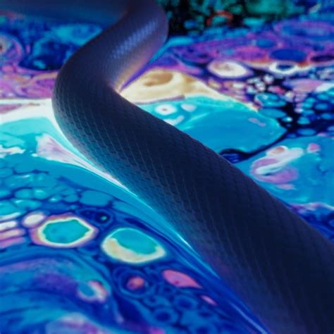 Alex Halstead On Linkedin Houdini 3delight