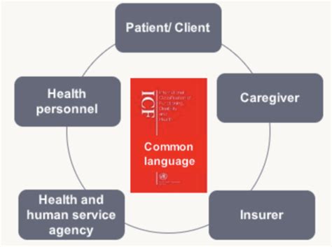 ICF Chapters Flashcards Quizlet