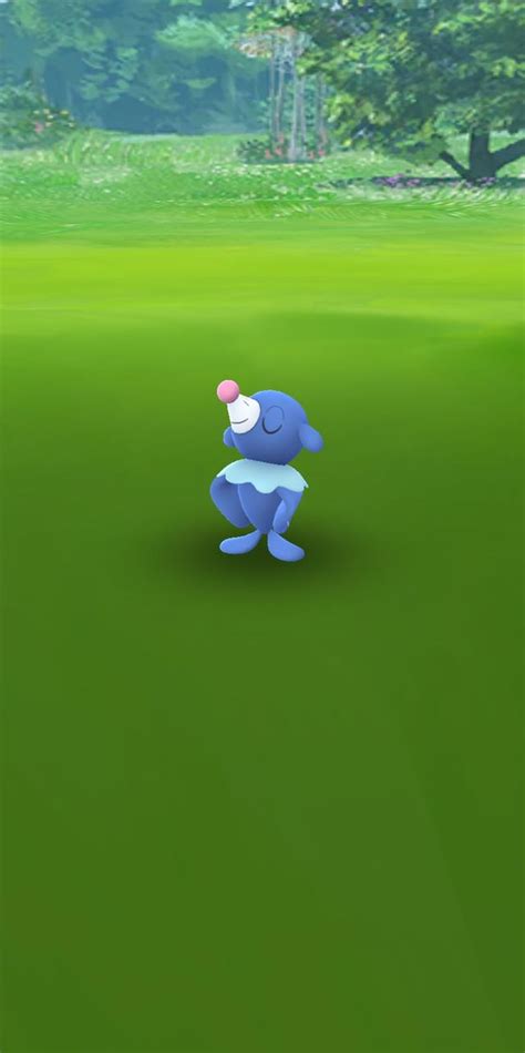 I Caught It I Caught A Snapshot Of A Popplio Doing The Pose R Popplio